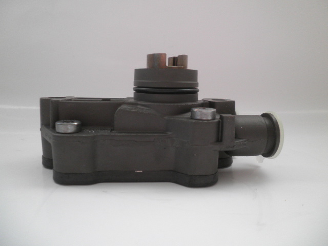 Bosch Kraftstoffpumpe 0440020088 kraftstoff pump fuel combustible | eBay